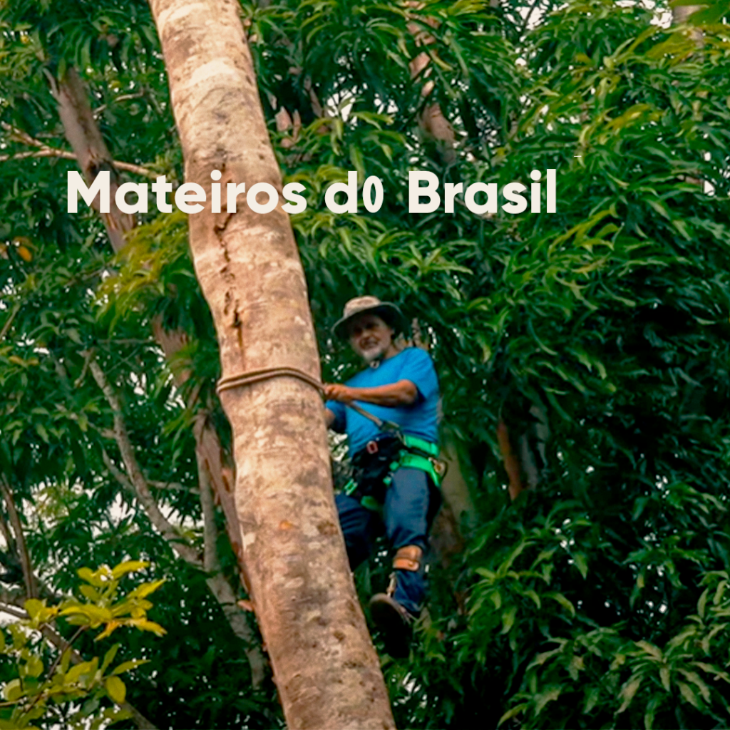 Mateiros do Brasil: o que podemos aprender com eles? - Museu da Pessoa